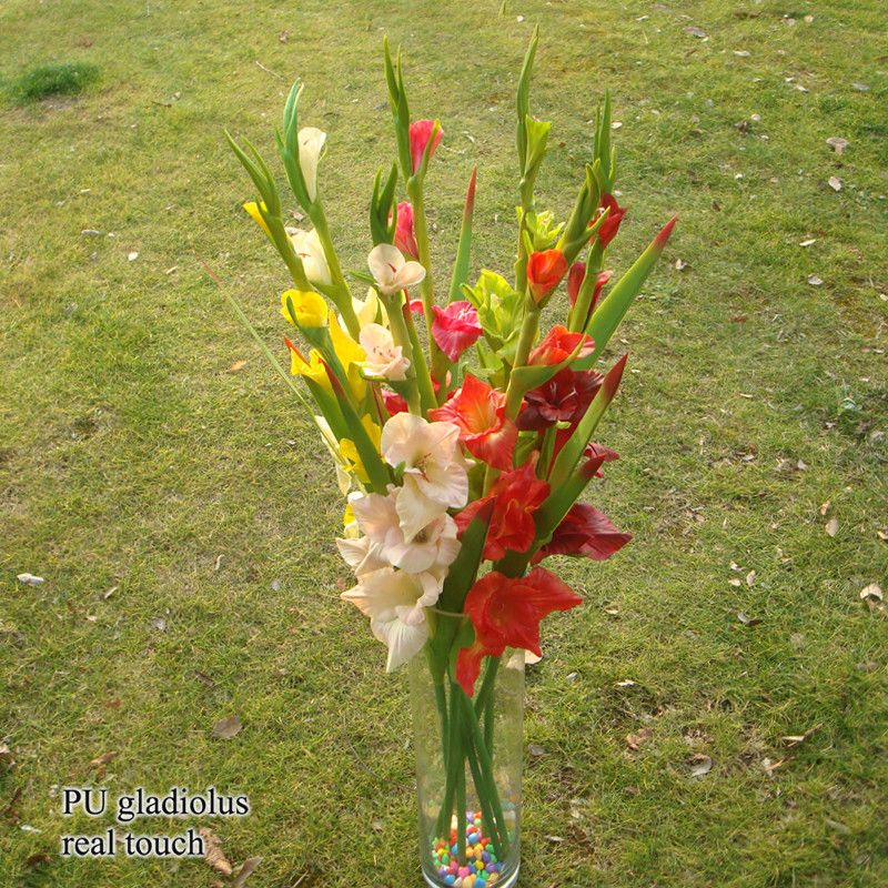 HOA LAYON 100CM | iCheck.vn